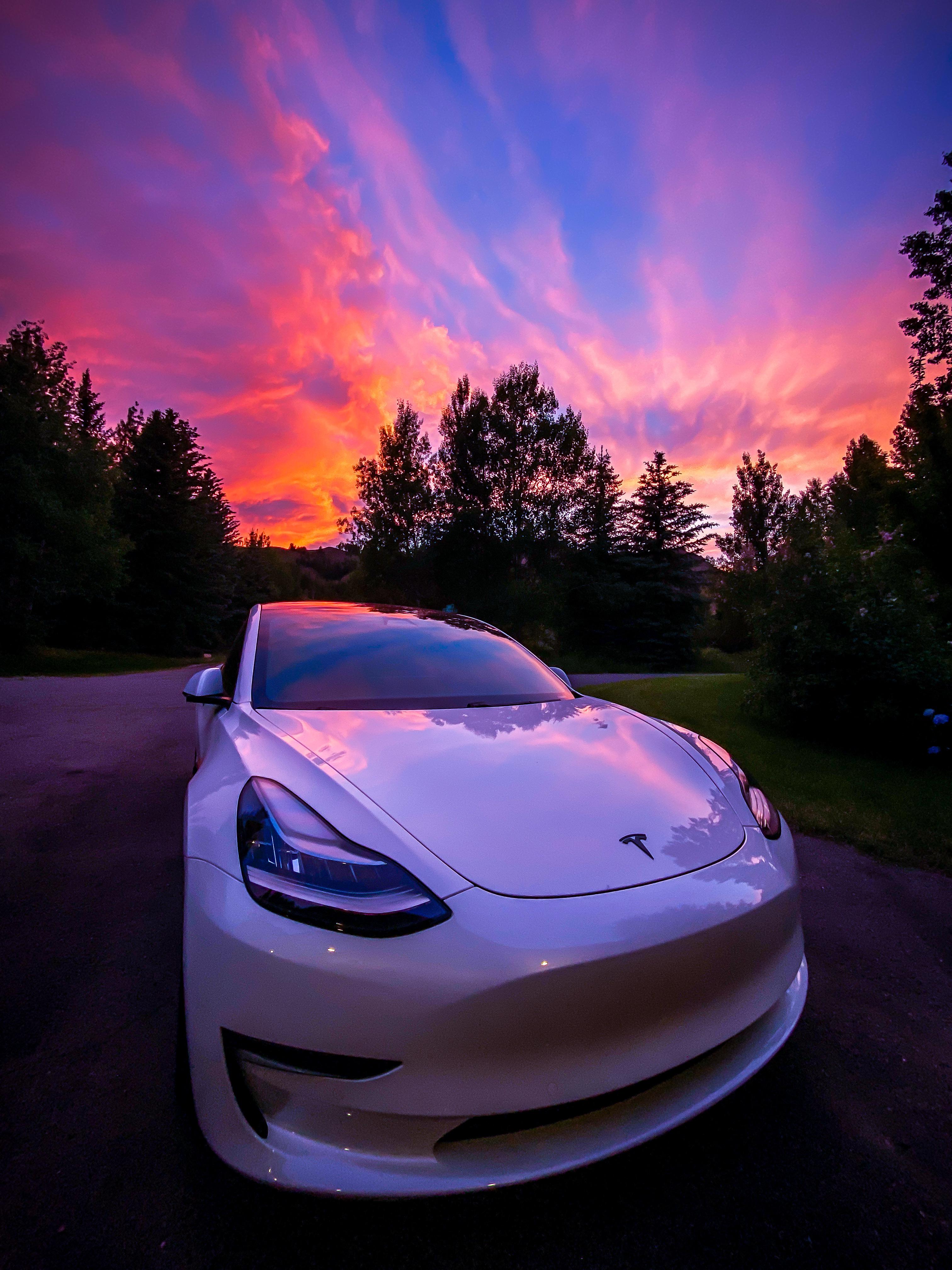 Basking in the evening glow | Scrolller