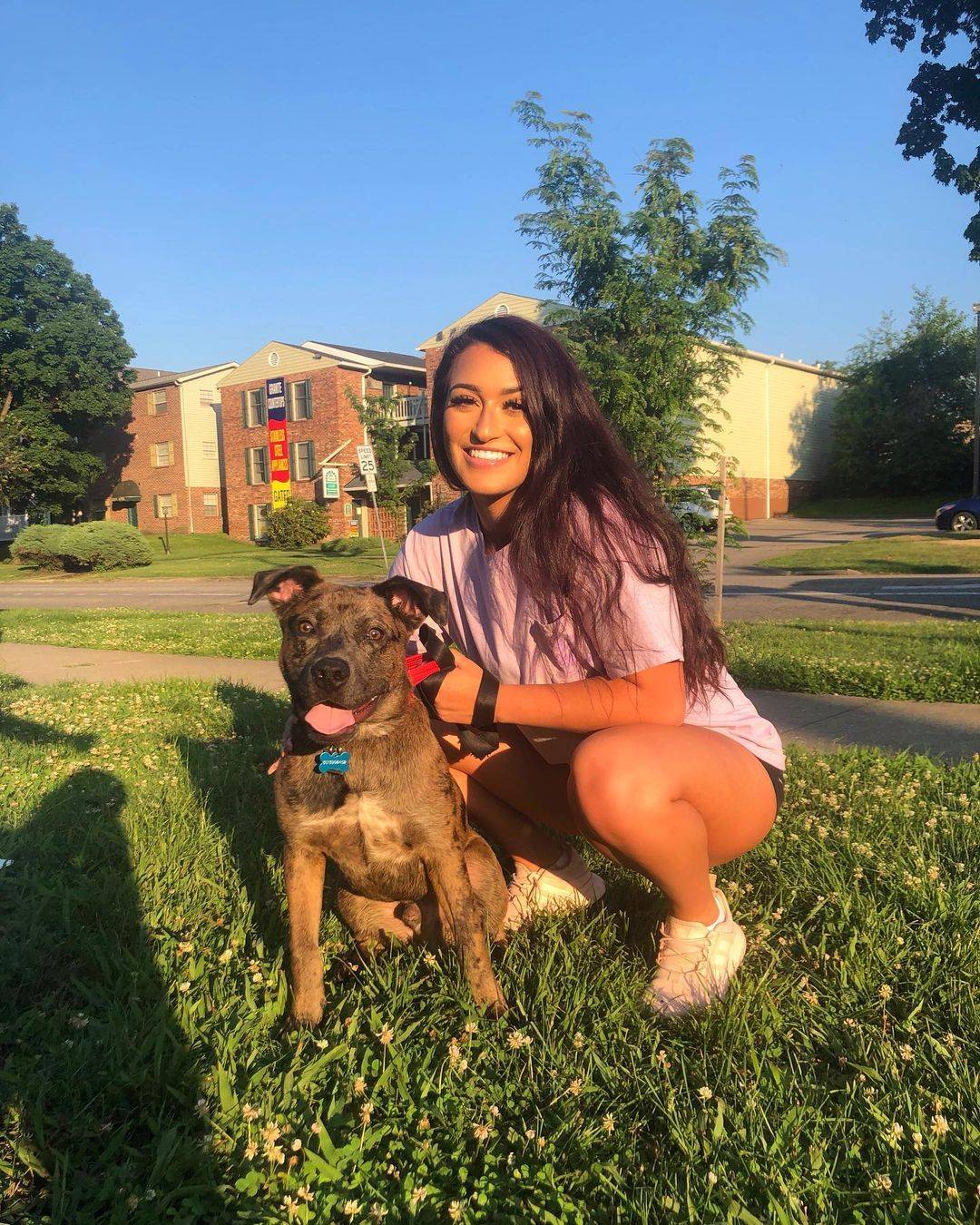 Basking in the Sun | Scrolller