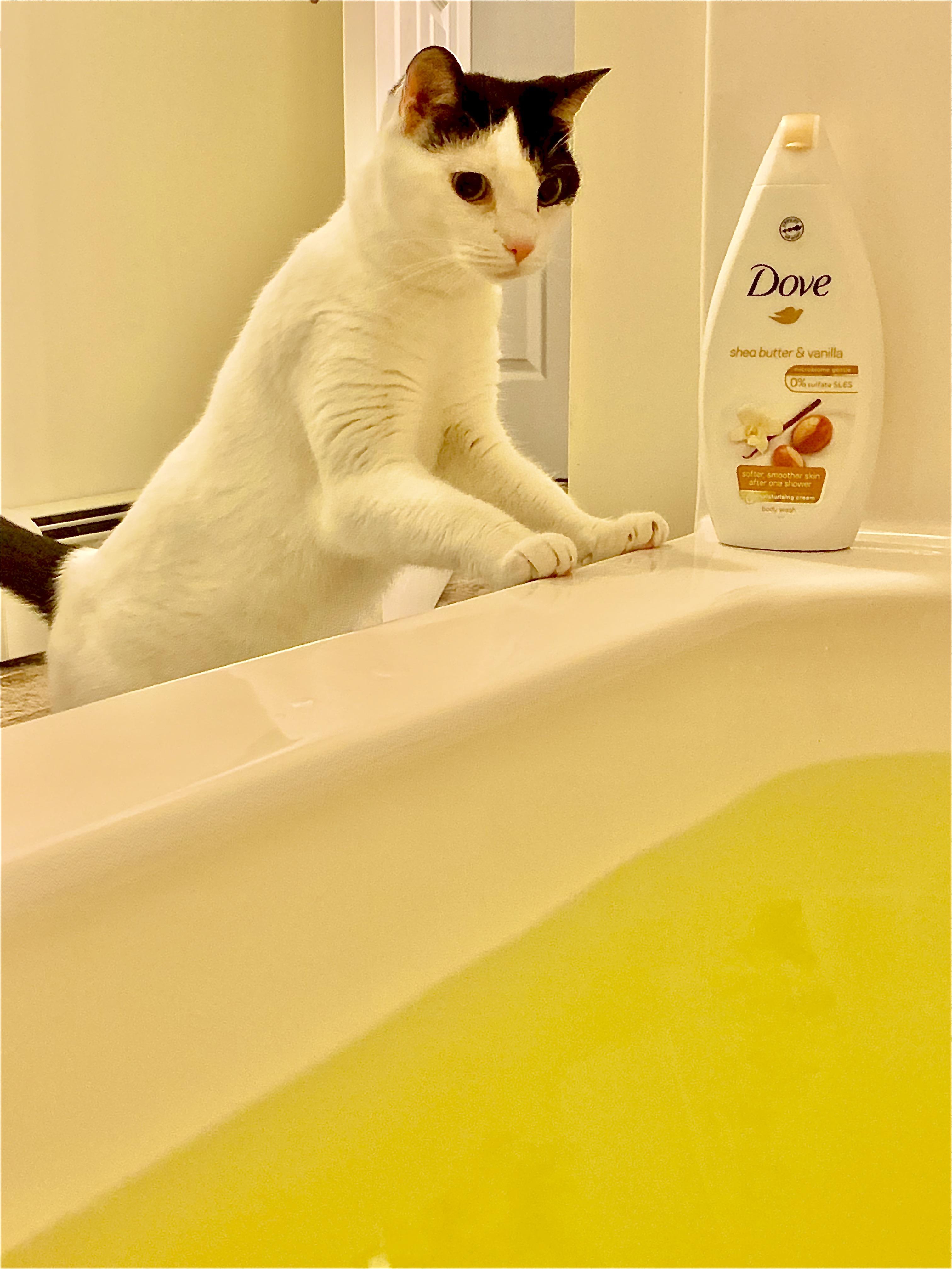 Bathbomb disaster | Scrolller