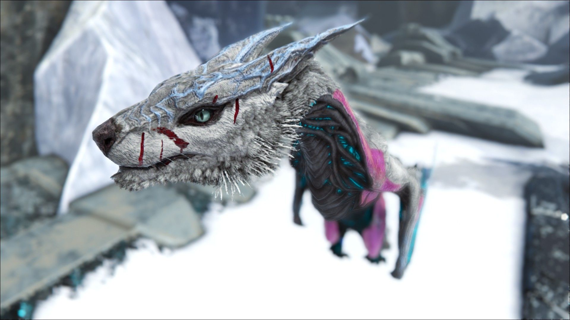 Battered and bruised. | Scrolller