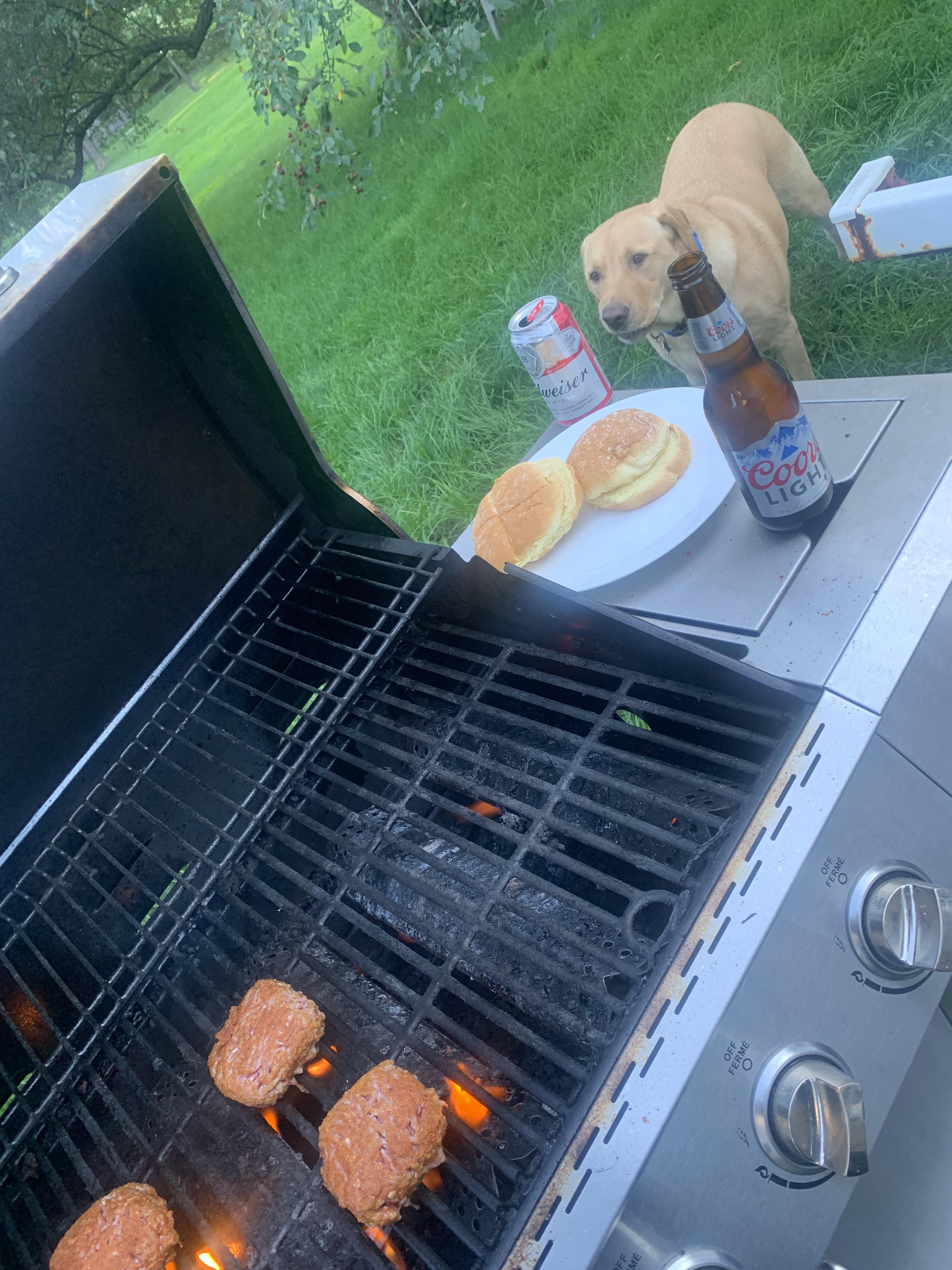 Bbqing, drinking beers with doggo | Scrolller