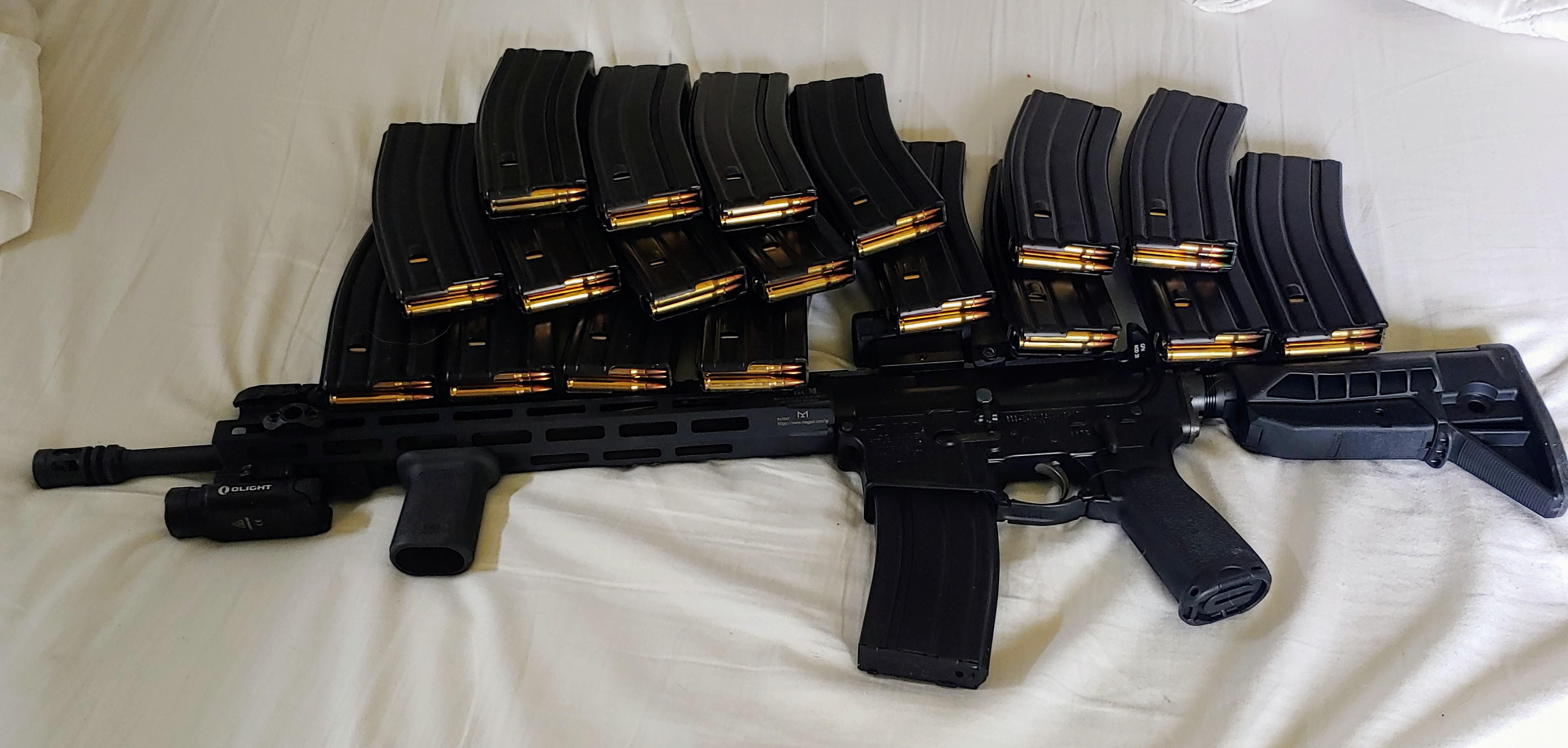 BCM 5.56 RECCE MCMR 16 WITH HER OFFSPRING | Scrolller