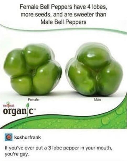 Be careful when you eat Bell Peppers | Scrolller