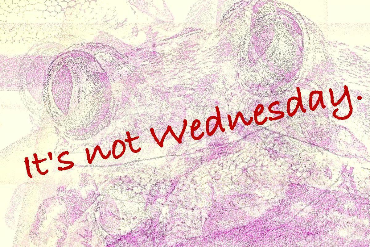 Be scared | Scrolller