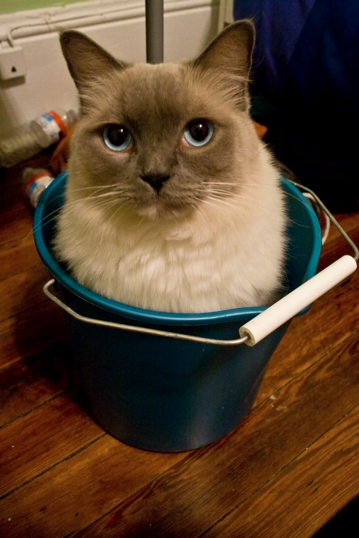 Beach bucket | Scrolller