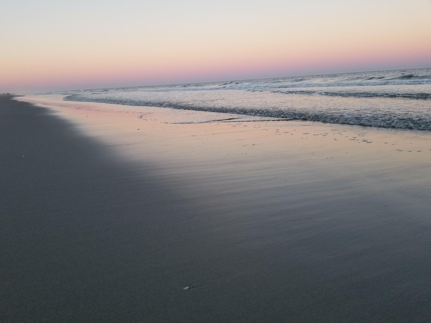 Beach life | Scrolller