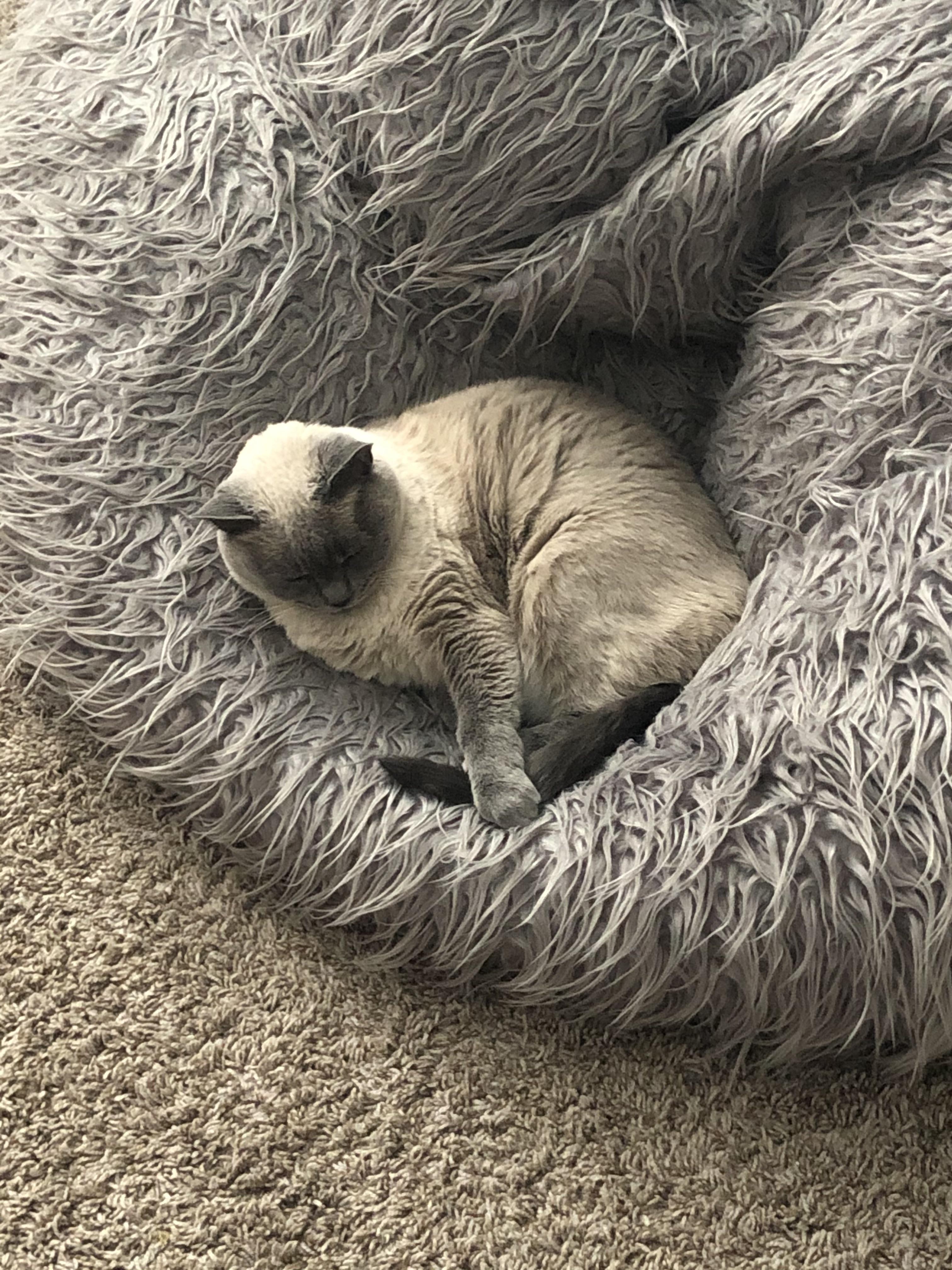 bean bag | Scrolller