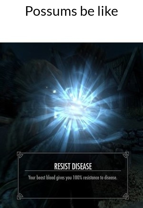 beast blood | Scrolller