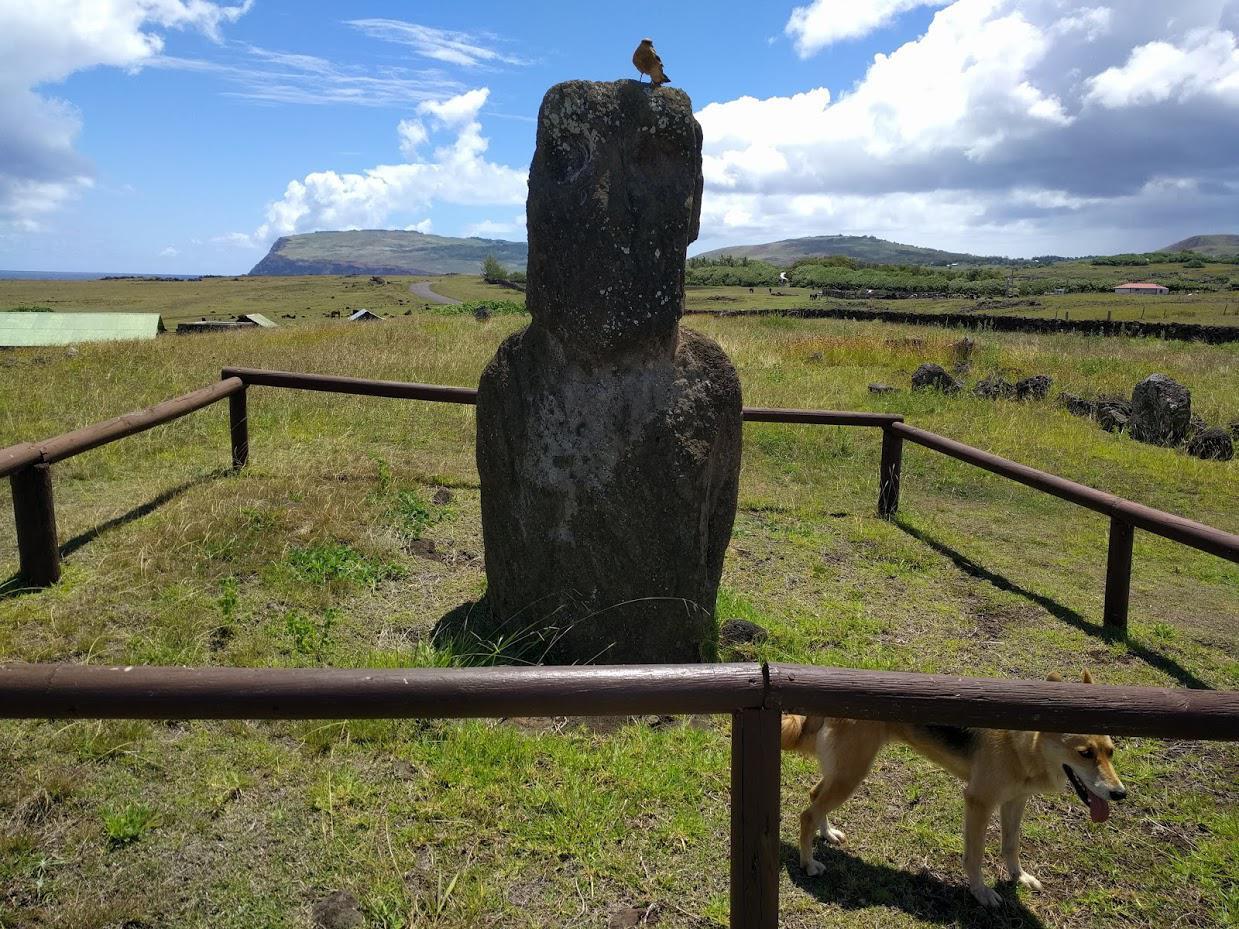 Beastmaster 🗿, Defender of all creatures | Scrolller