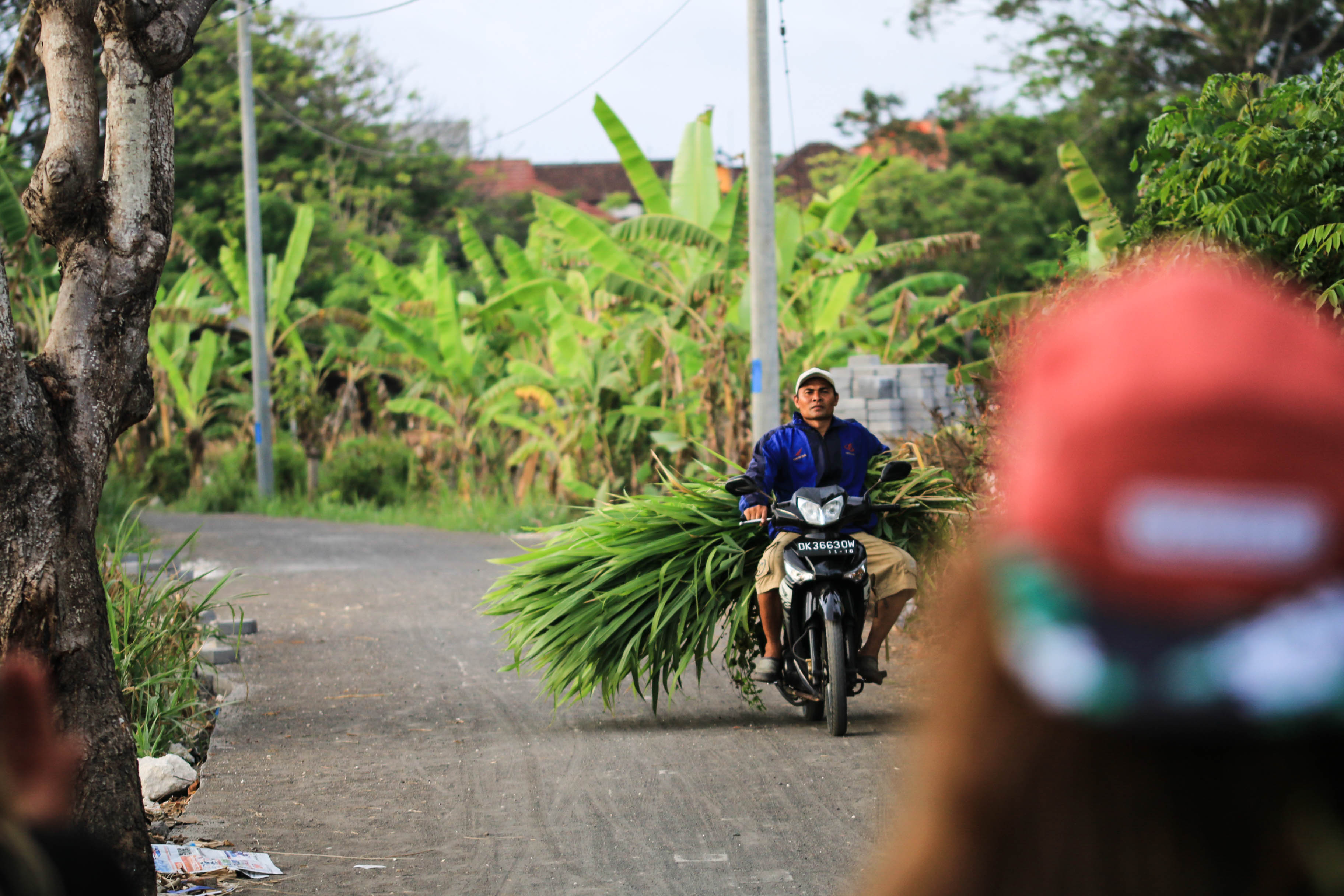 Beautiful Bali | Scrolller