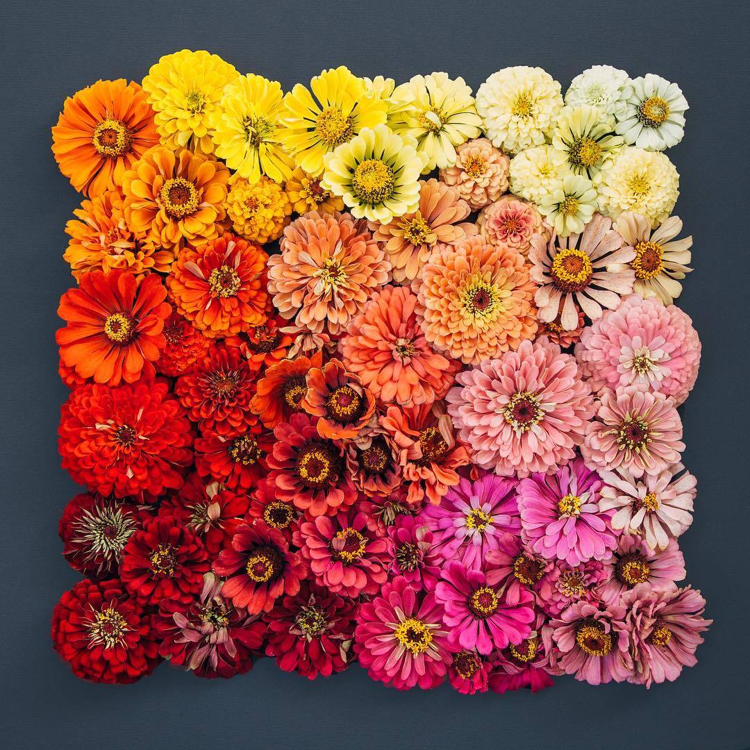 Beautiful Color Gradients | Scrolller