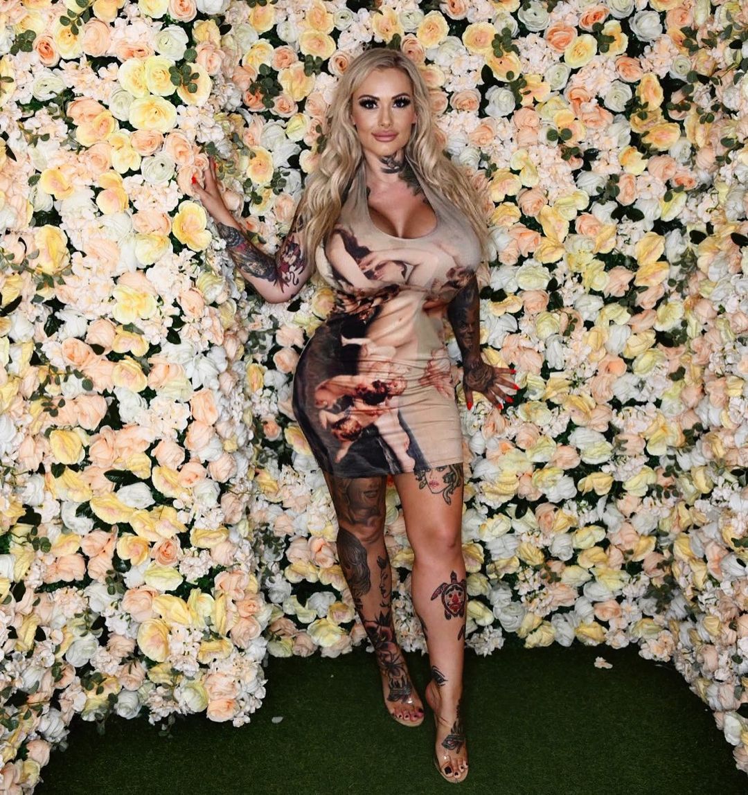 Beautiful rose | Scrolller