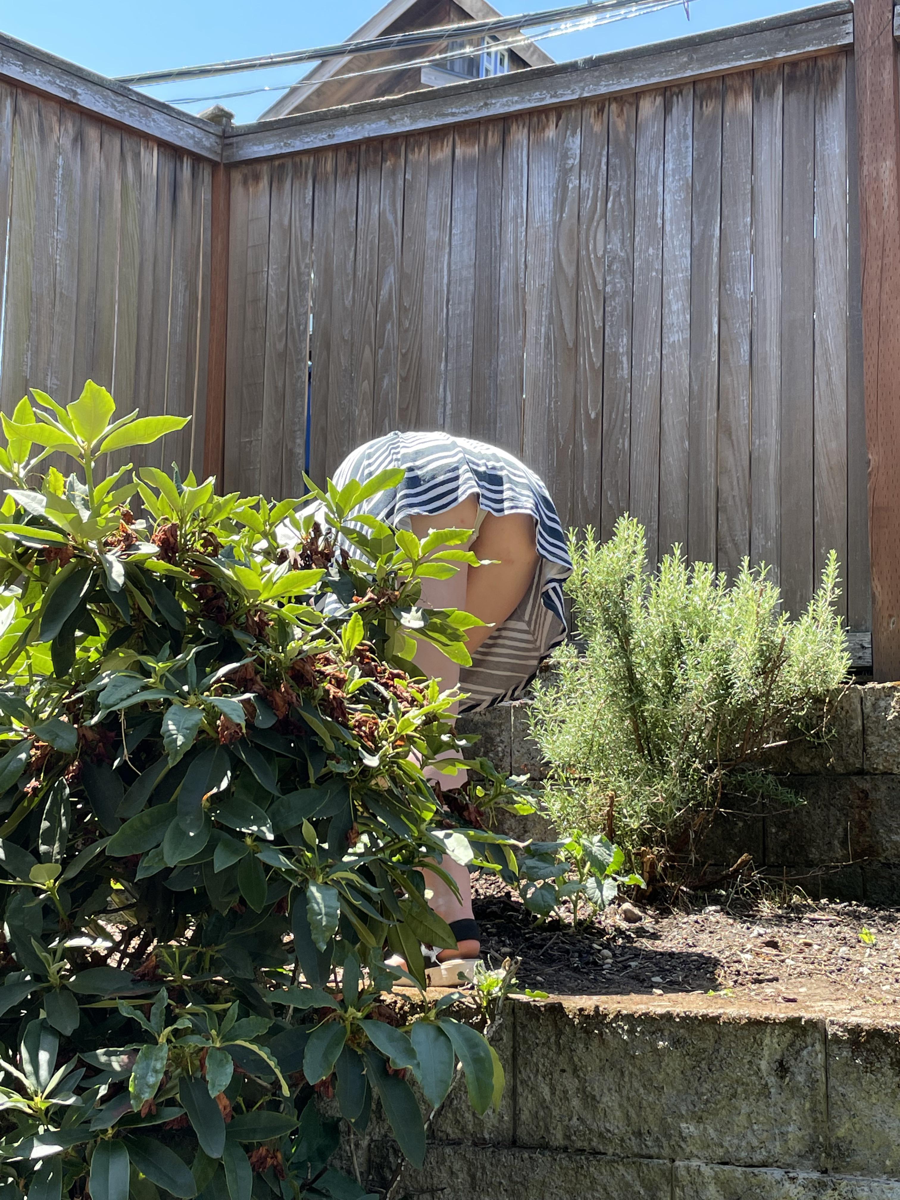 Beautiful Say To Garden In A Skirt Scrolller