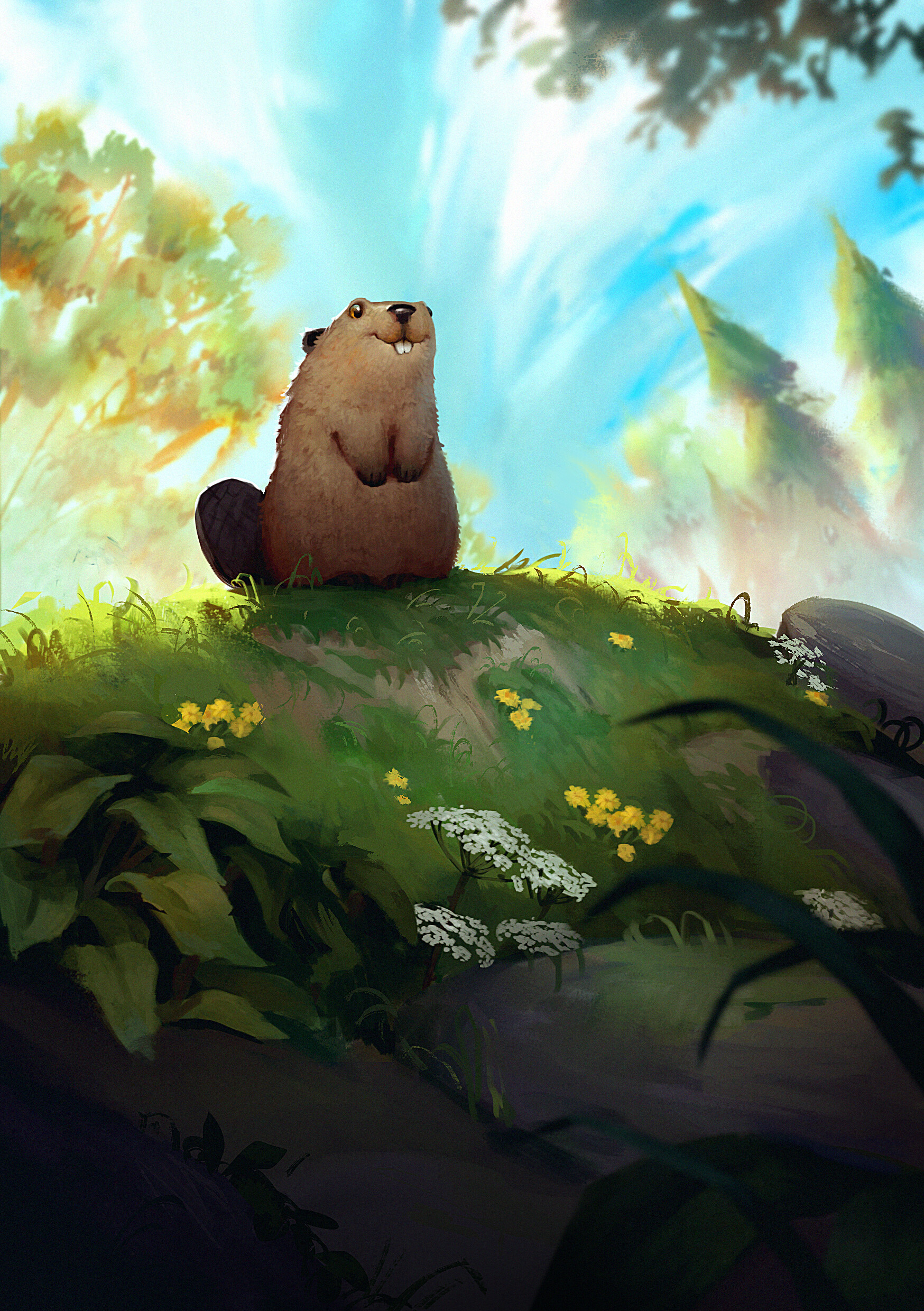 Beaver by Jakub Dzikowski | Scrolller