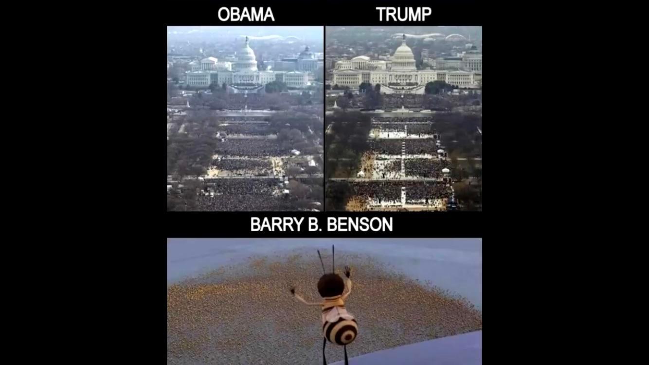 Bee movie. | Scrolller