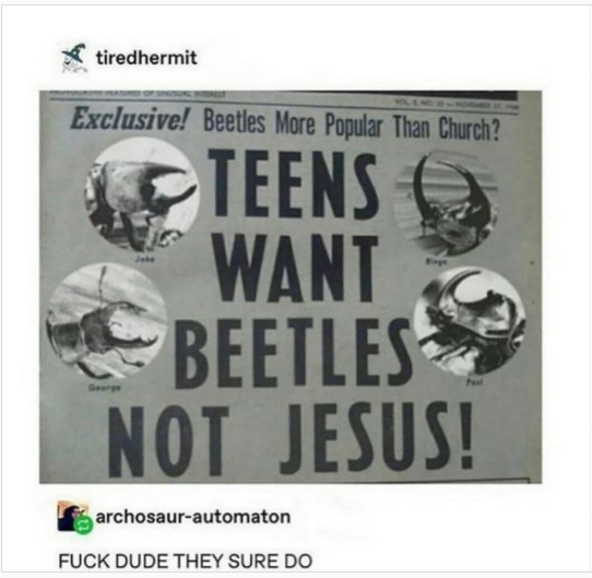 beetles> beatles | Scrolller