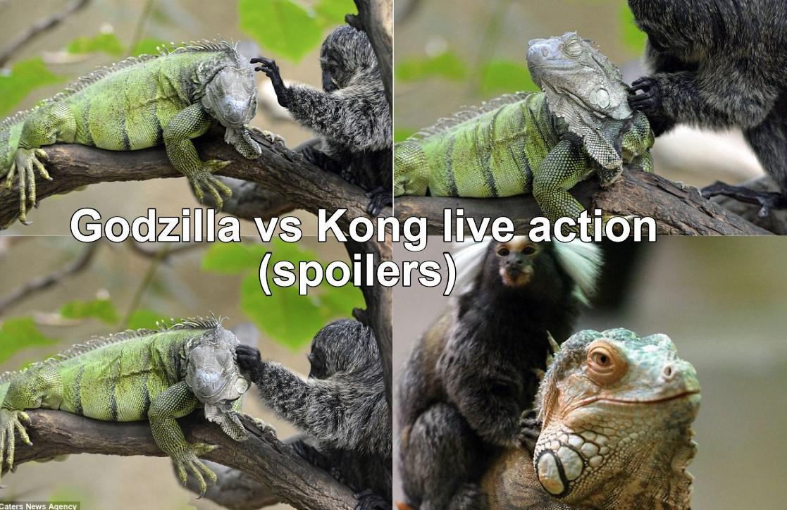 Behind the Scenes | Scrolller