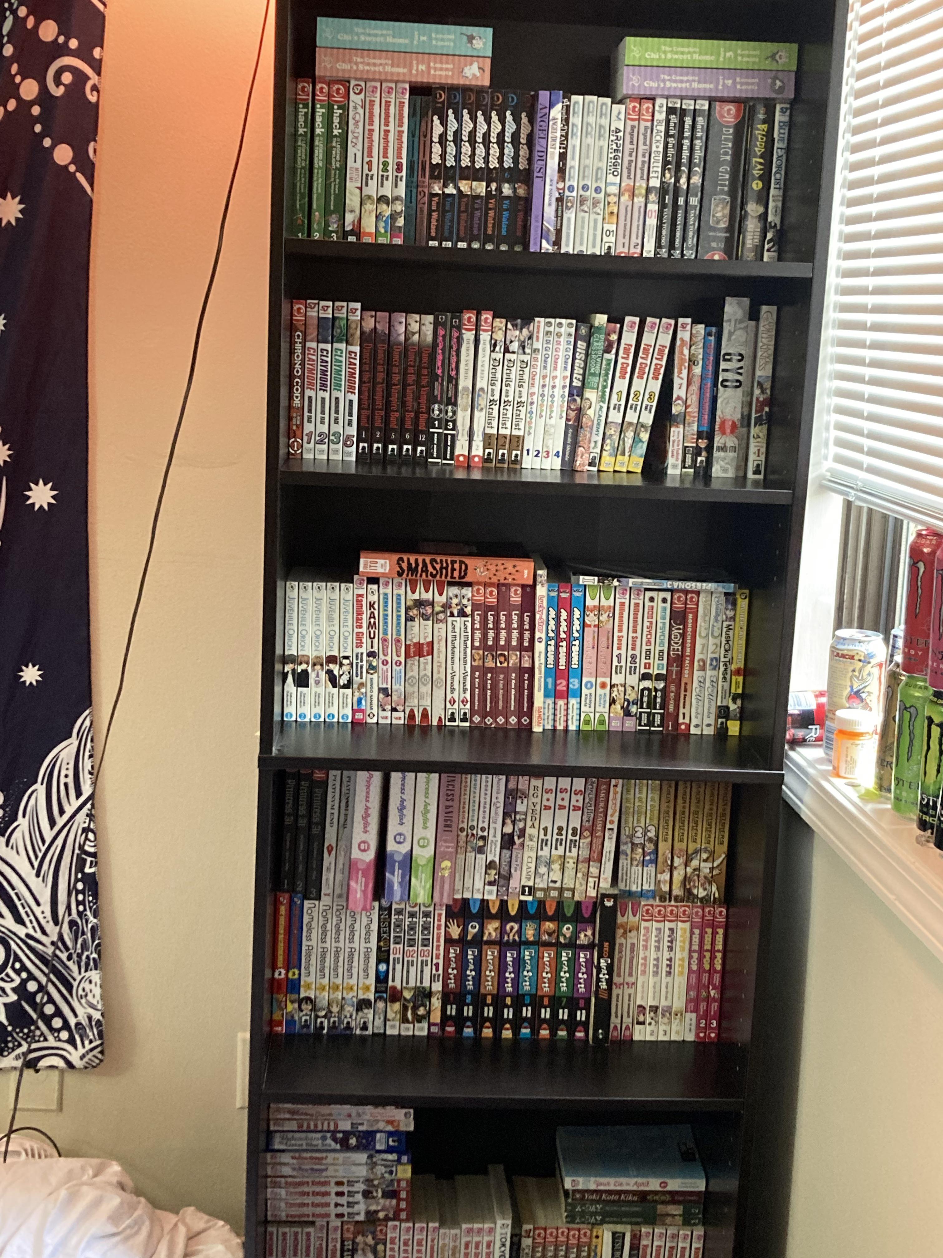 Behold, my shelf. Finally unpacked in my new apartment. 222 Volumes total. | Scrolller