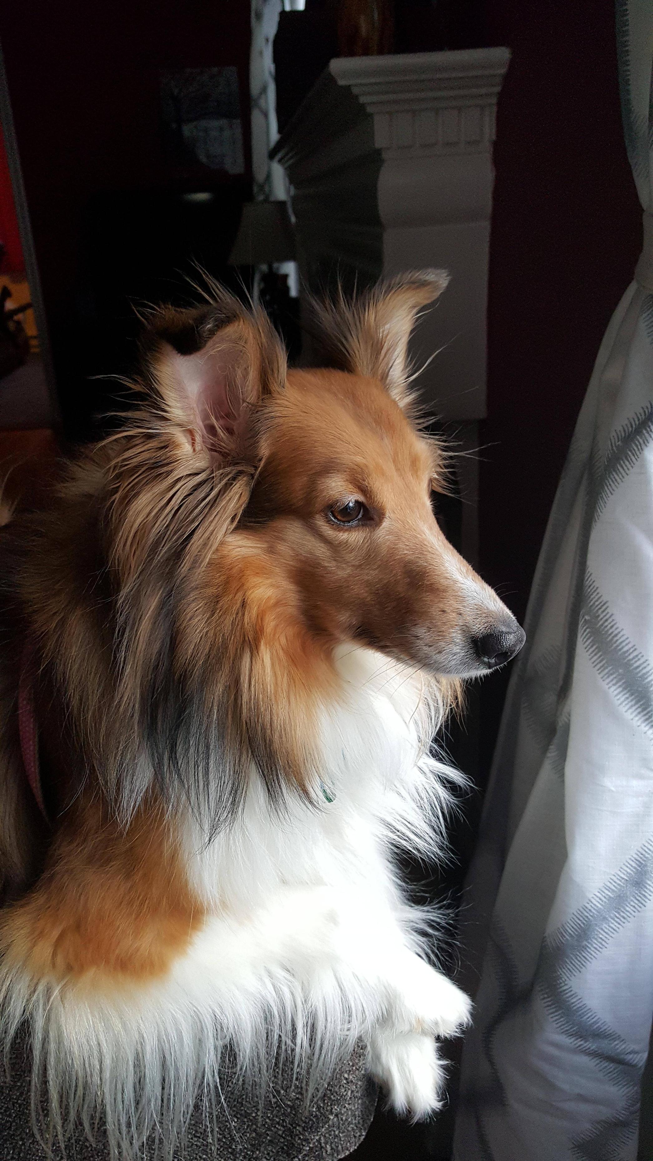 Behold the Hams! | Scrolller