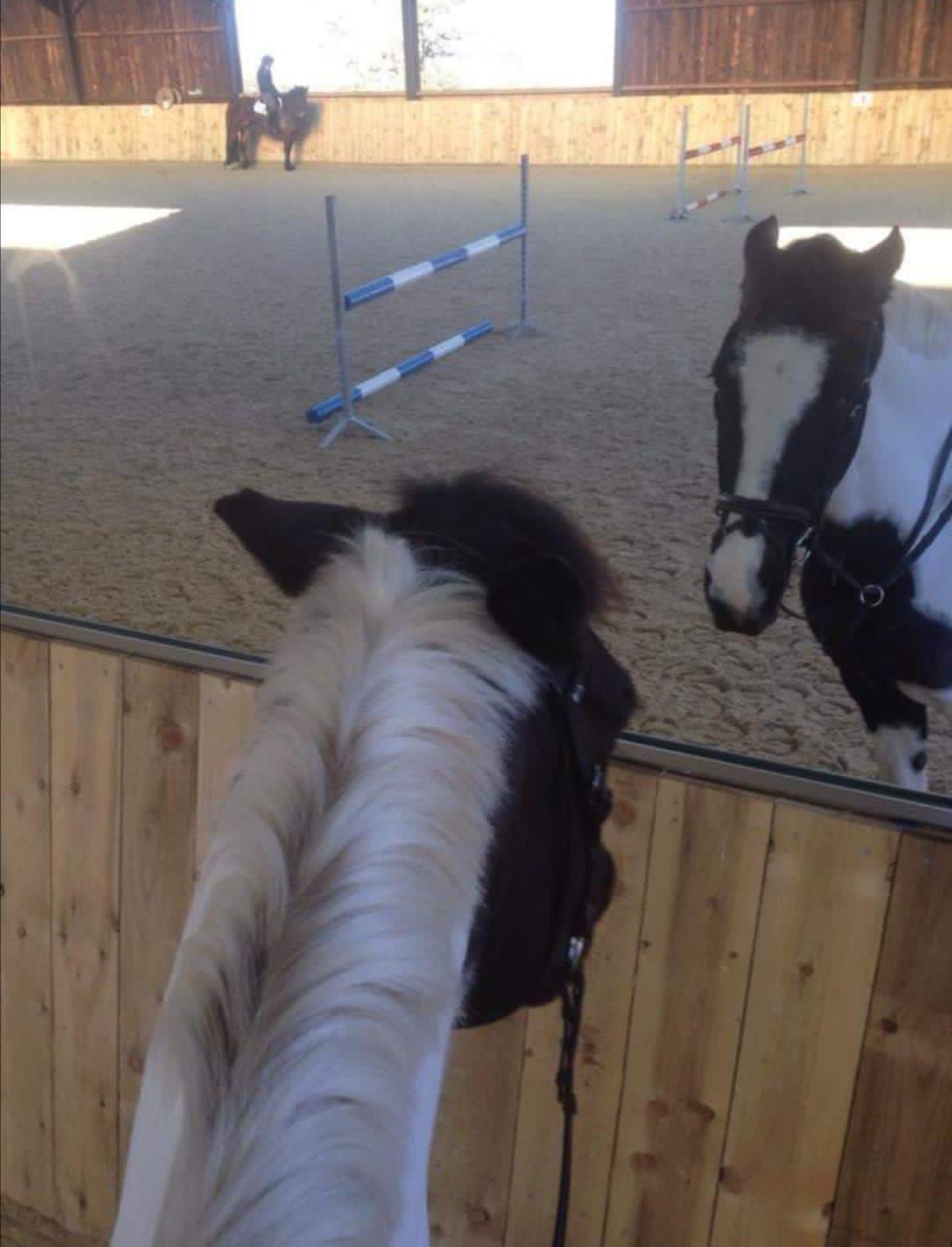 Being sassy at herself… | Scrolller