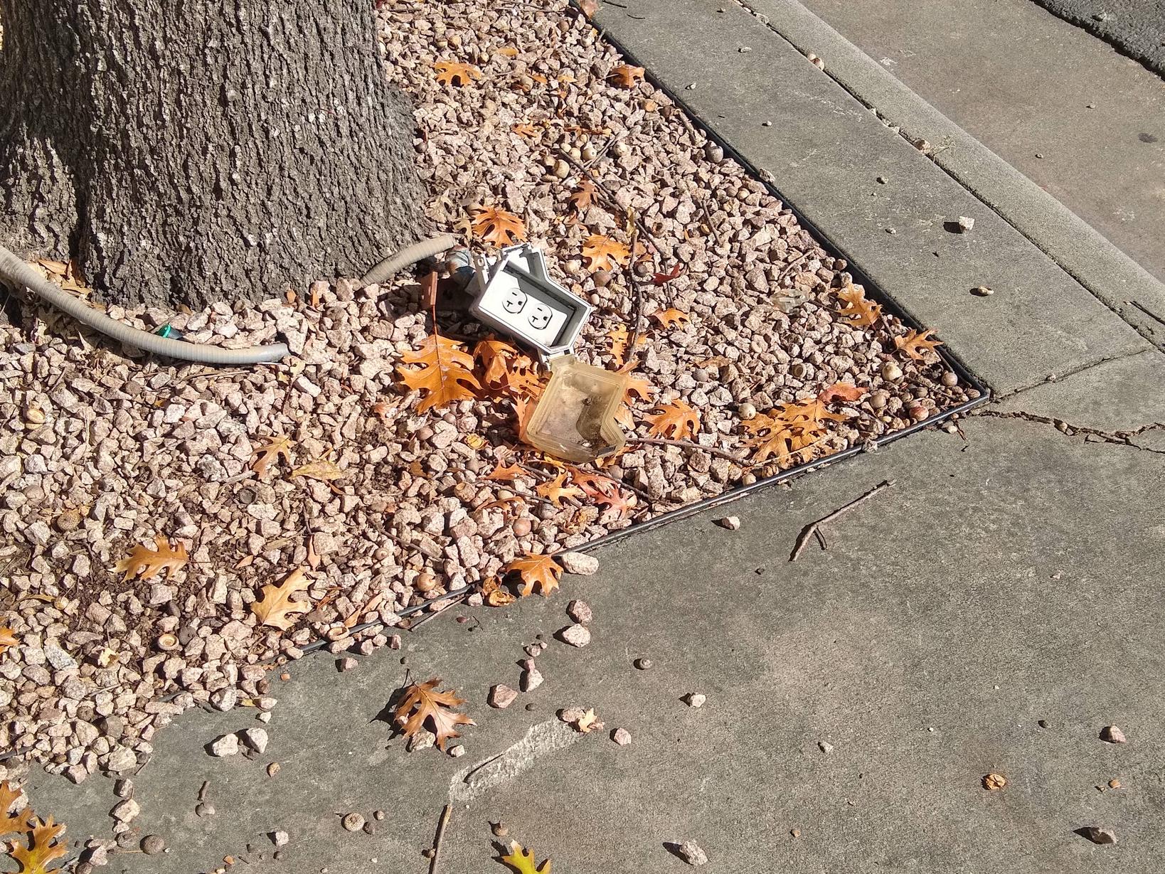 Bent and broken | Scrolller