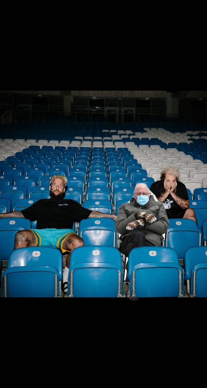 Bernie leveled up | Scrolller