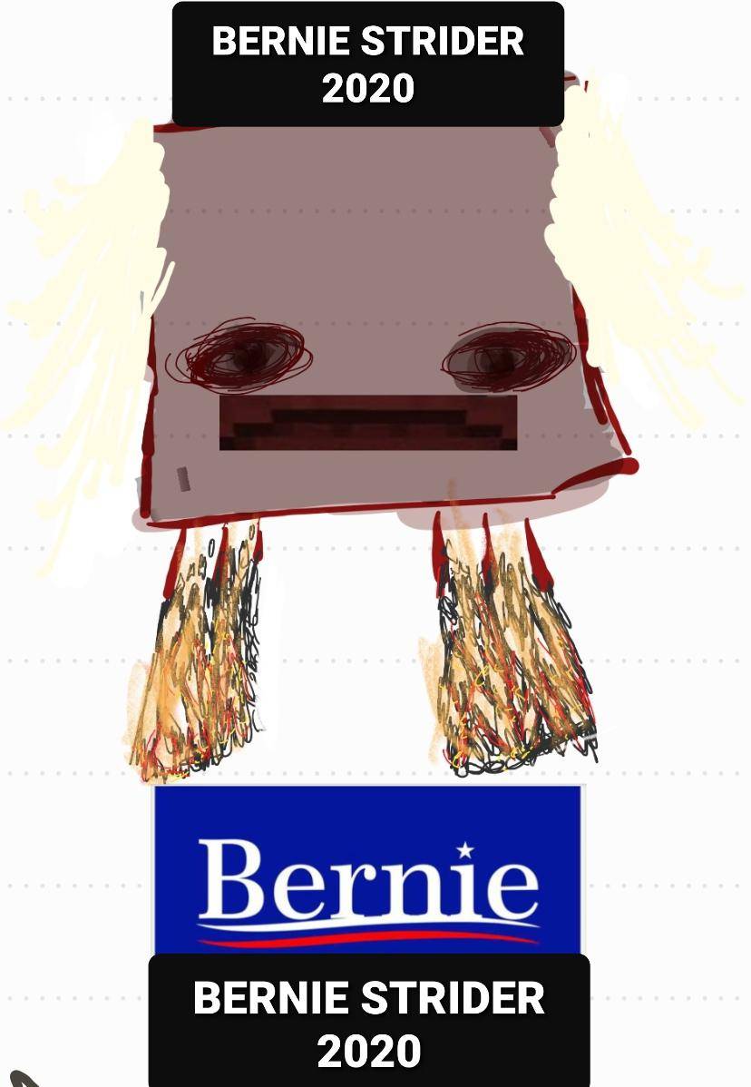 Bernie Strider is my kink | Scrolller