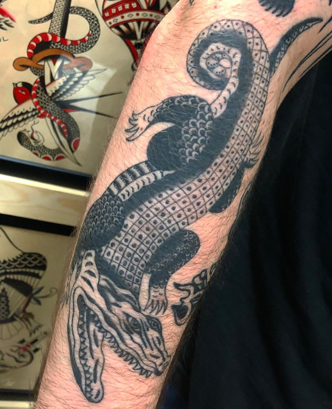 Bert Grimm crocodile by Mike Davies | Scrolller