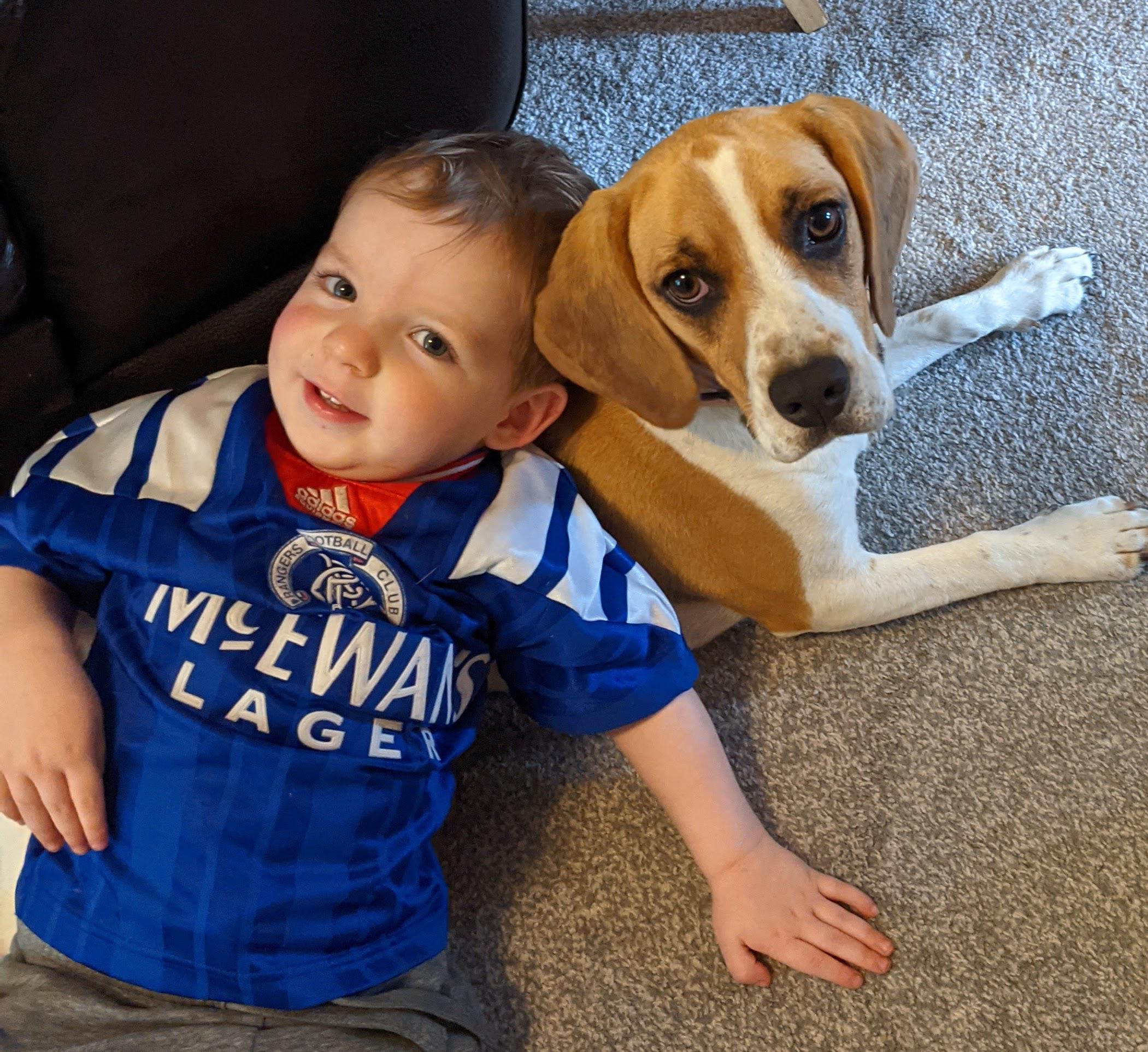 Discover more like Beagle: Best friends 💙 and Related Content | Scrolller