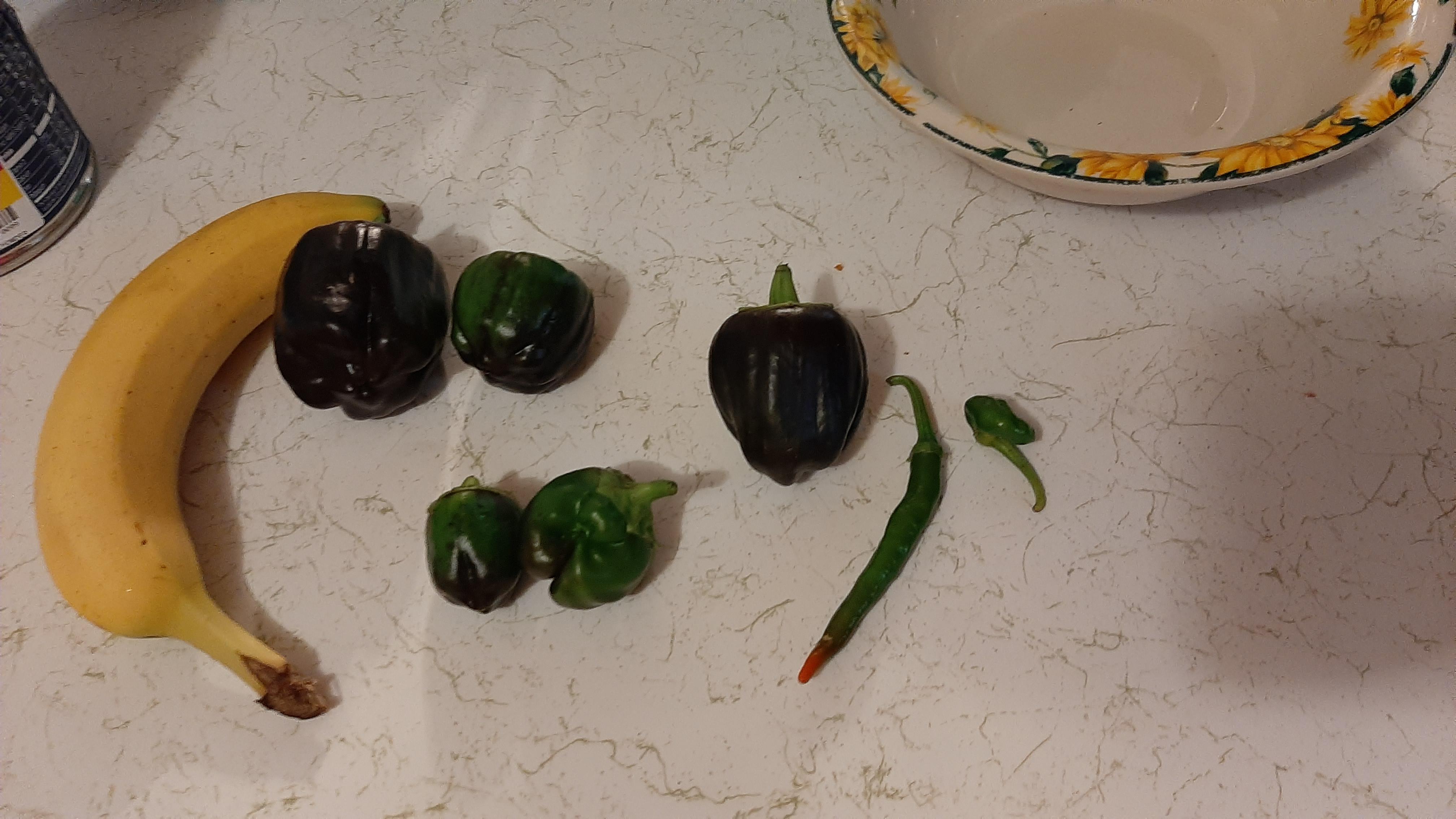 Best harvest of bell peppers I've had. Plus 2 bonus cayenne. | Scrolller