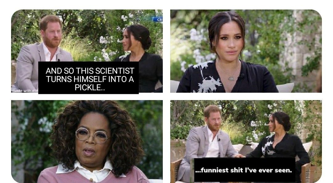 Best moment from the interview... | Scrolller