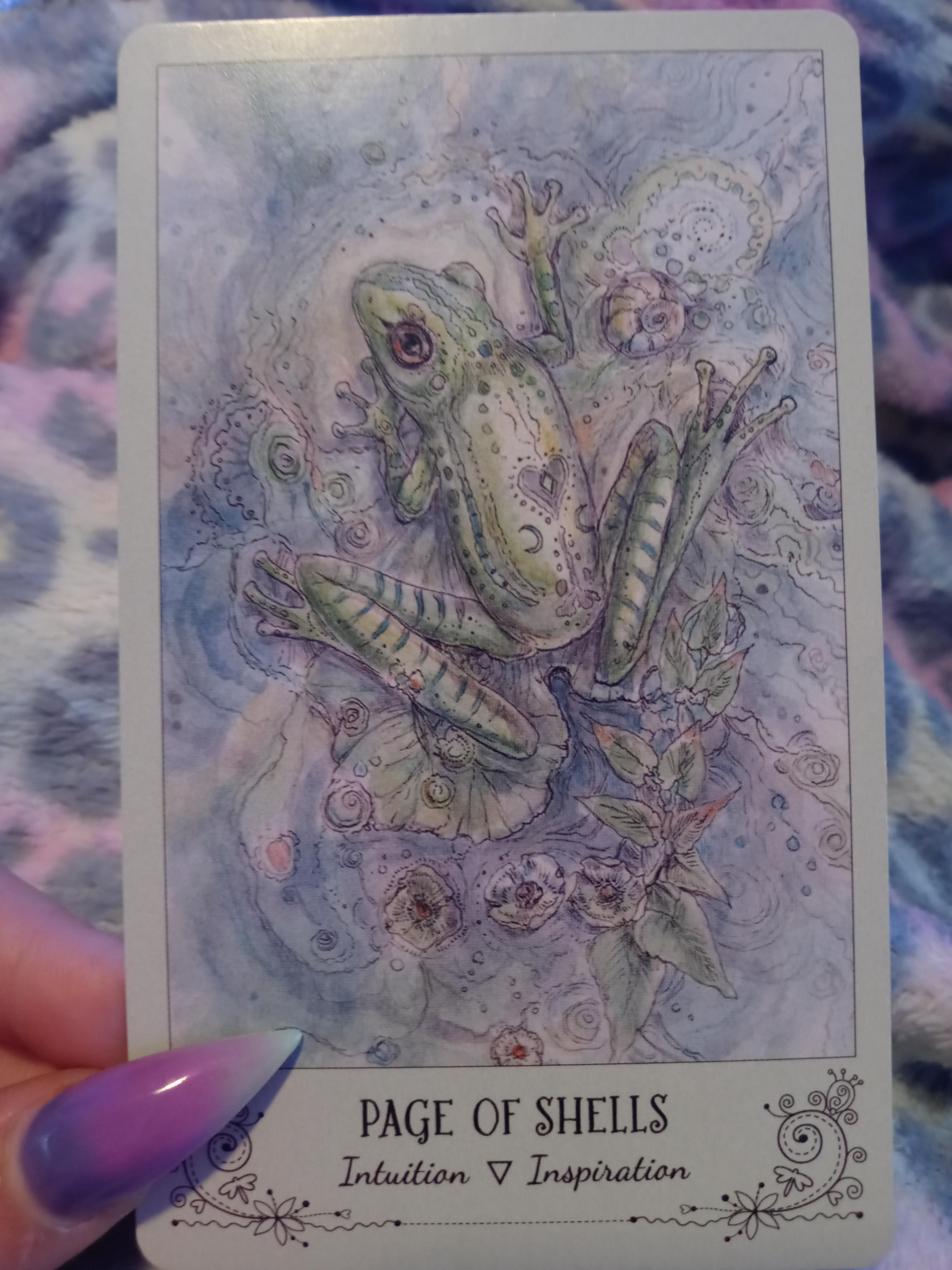 Best tarot deck ever 😍 | Scrolller