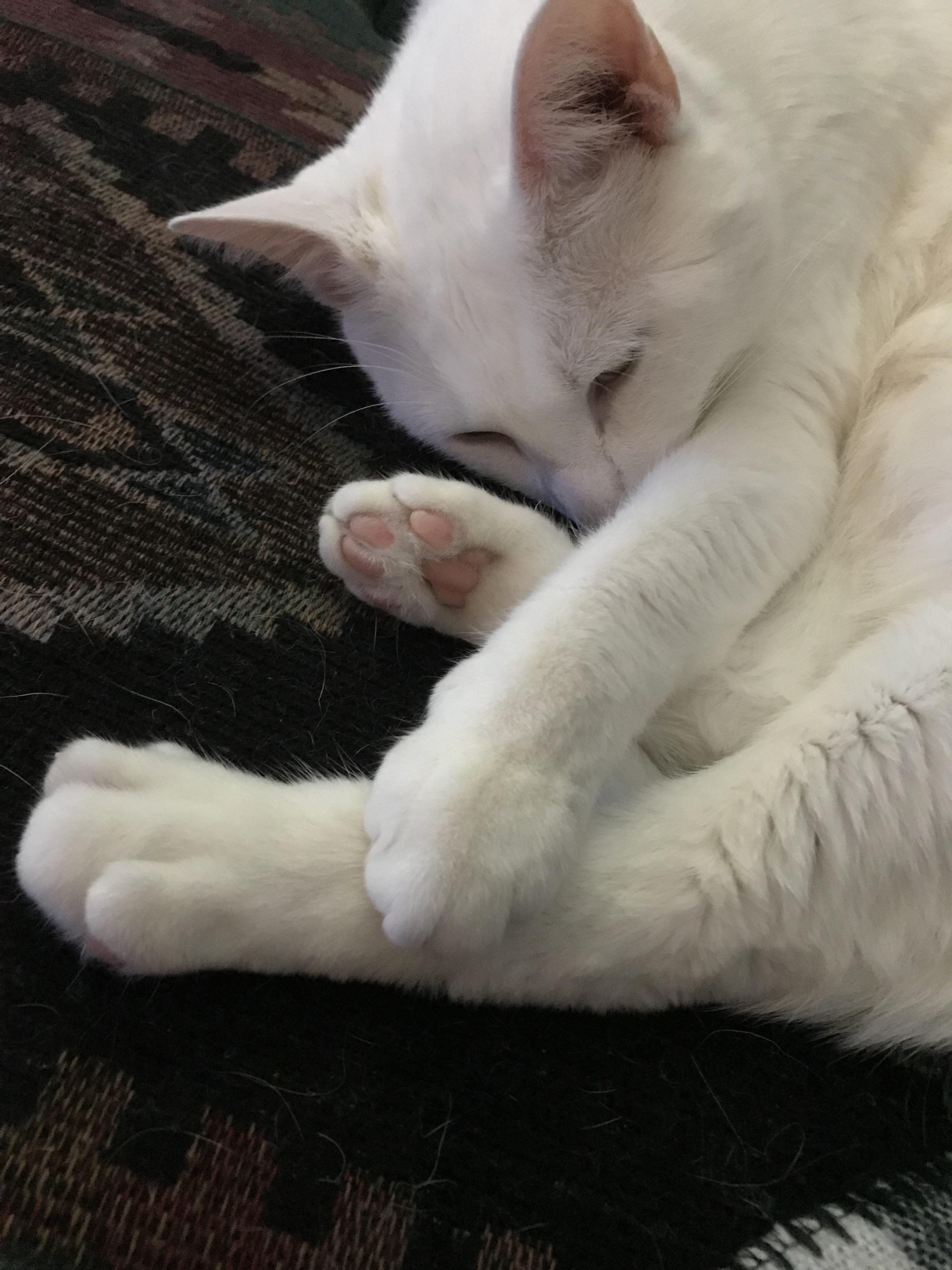 Best toe beans | Scrolller