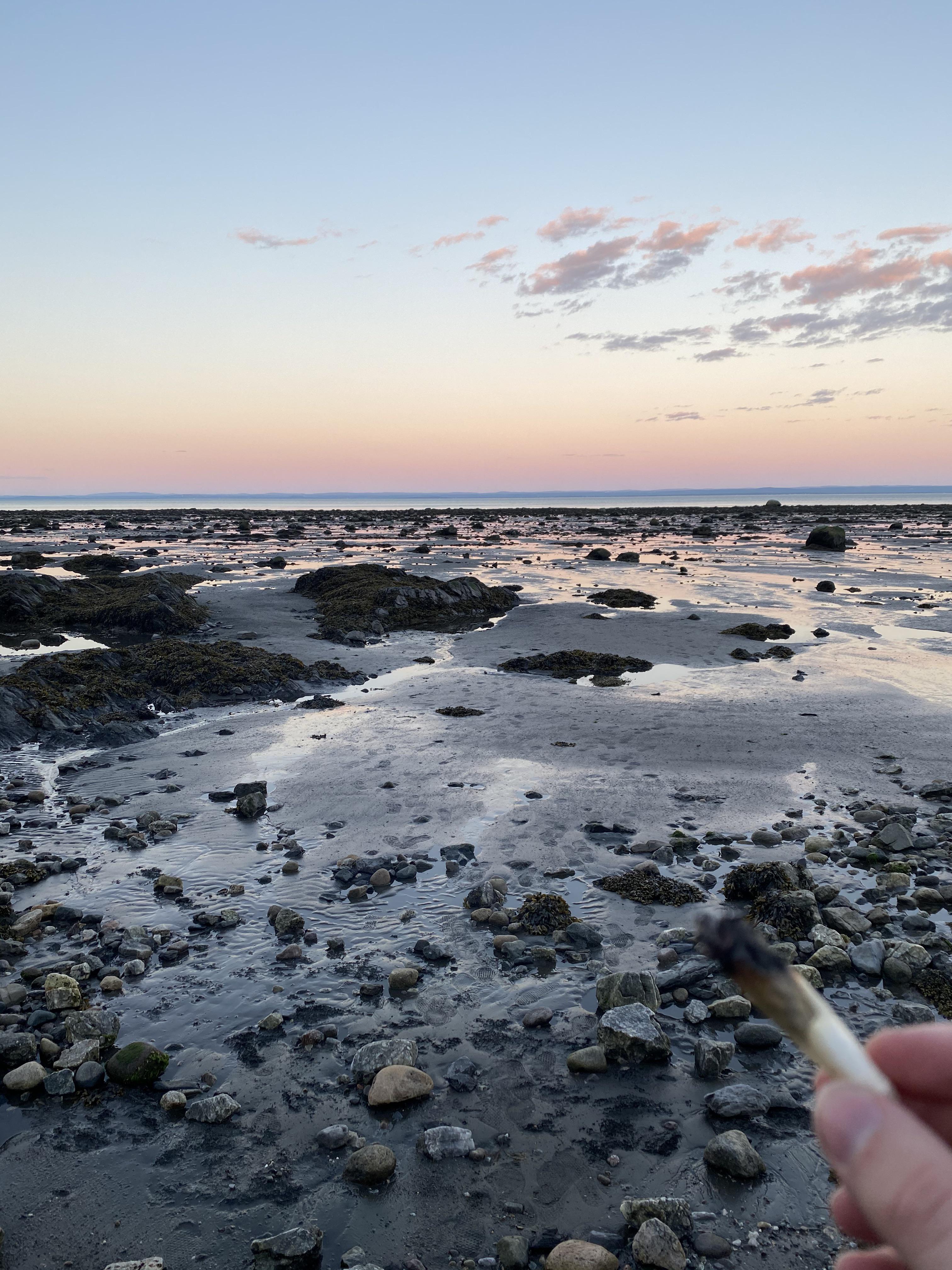 Best view I've had smoking weed | Scrolller