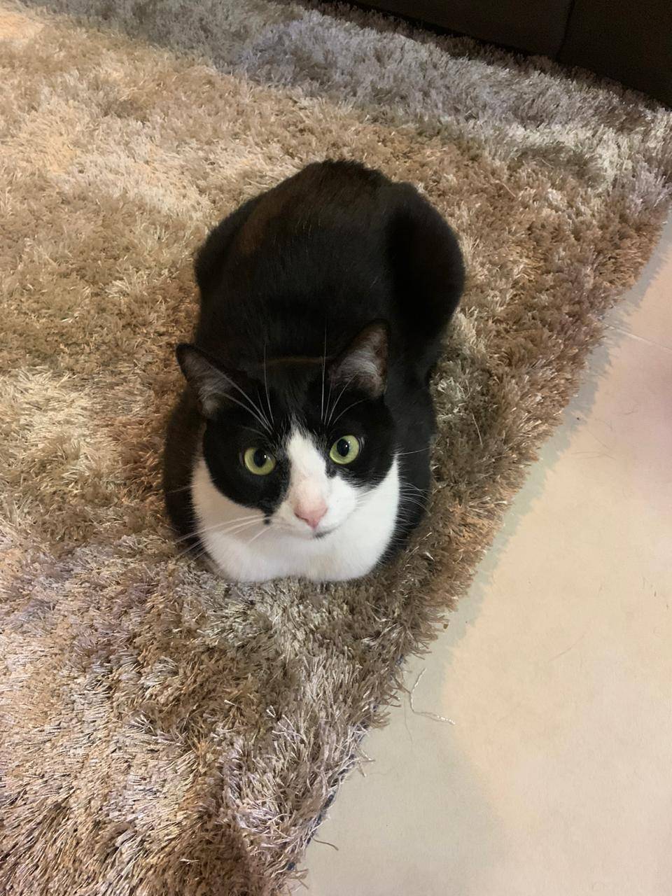 Beto loafing | Scrolller