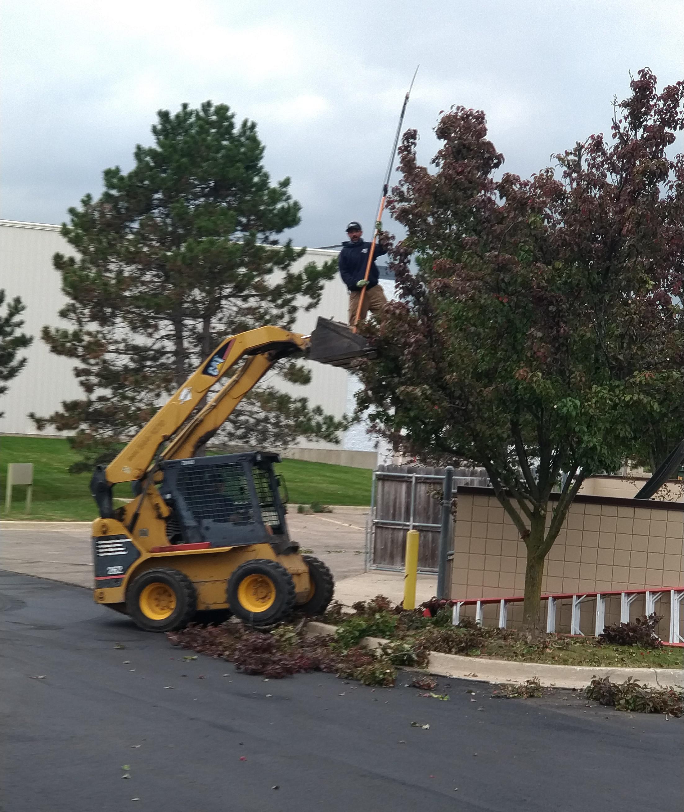 Better than homeowners on ladders? | Scrolller