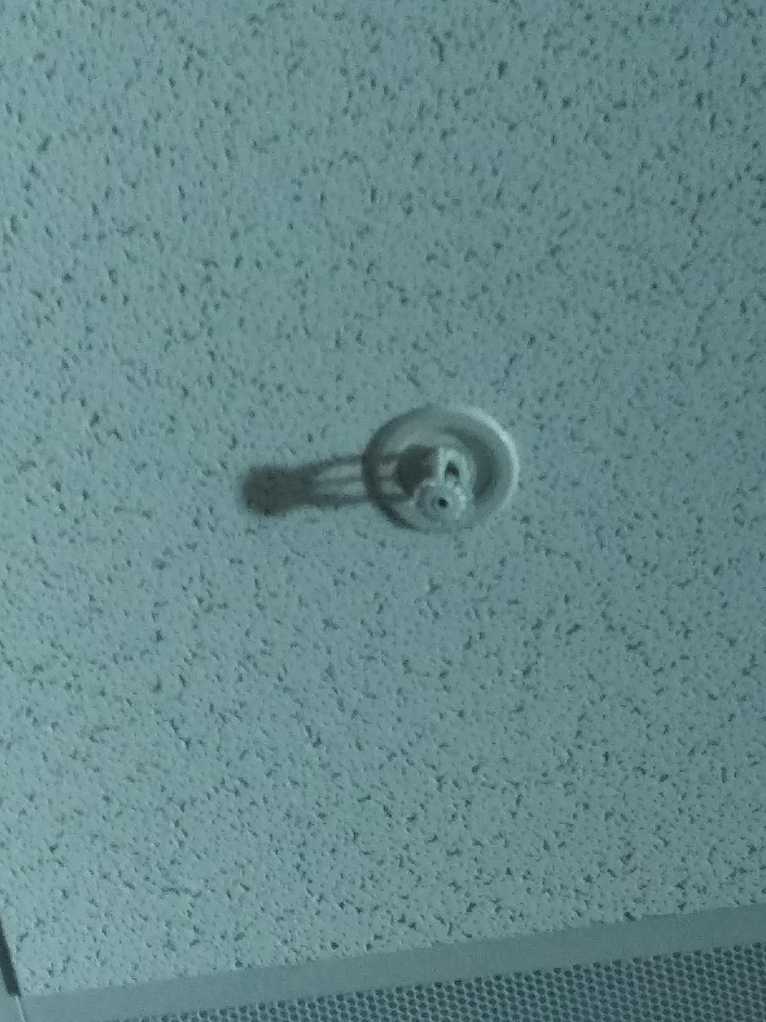 Beware...of the ceiling spider! | Scrolller