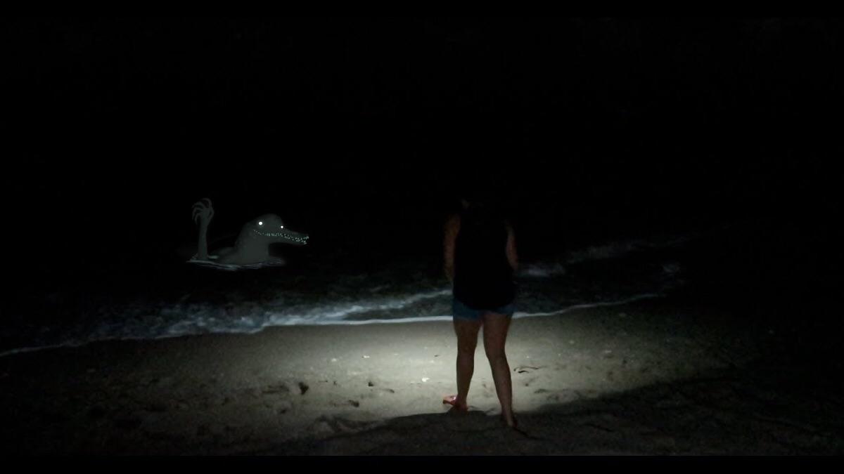 Beyond the Shoreline | Scrolller