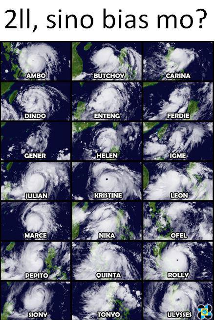 Bias.jpeg | Scrolller