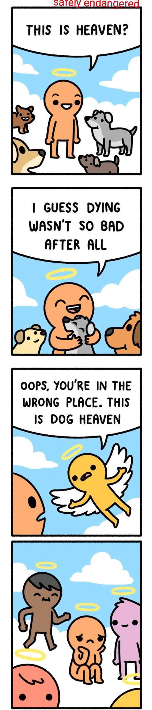 big 5 energy | Scrolller