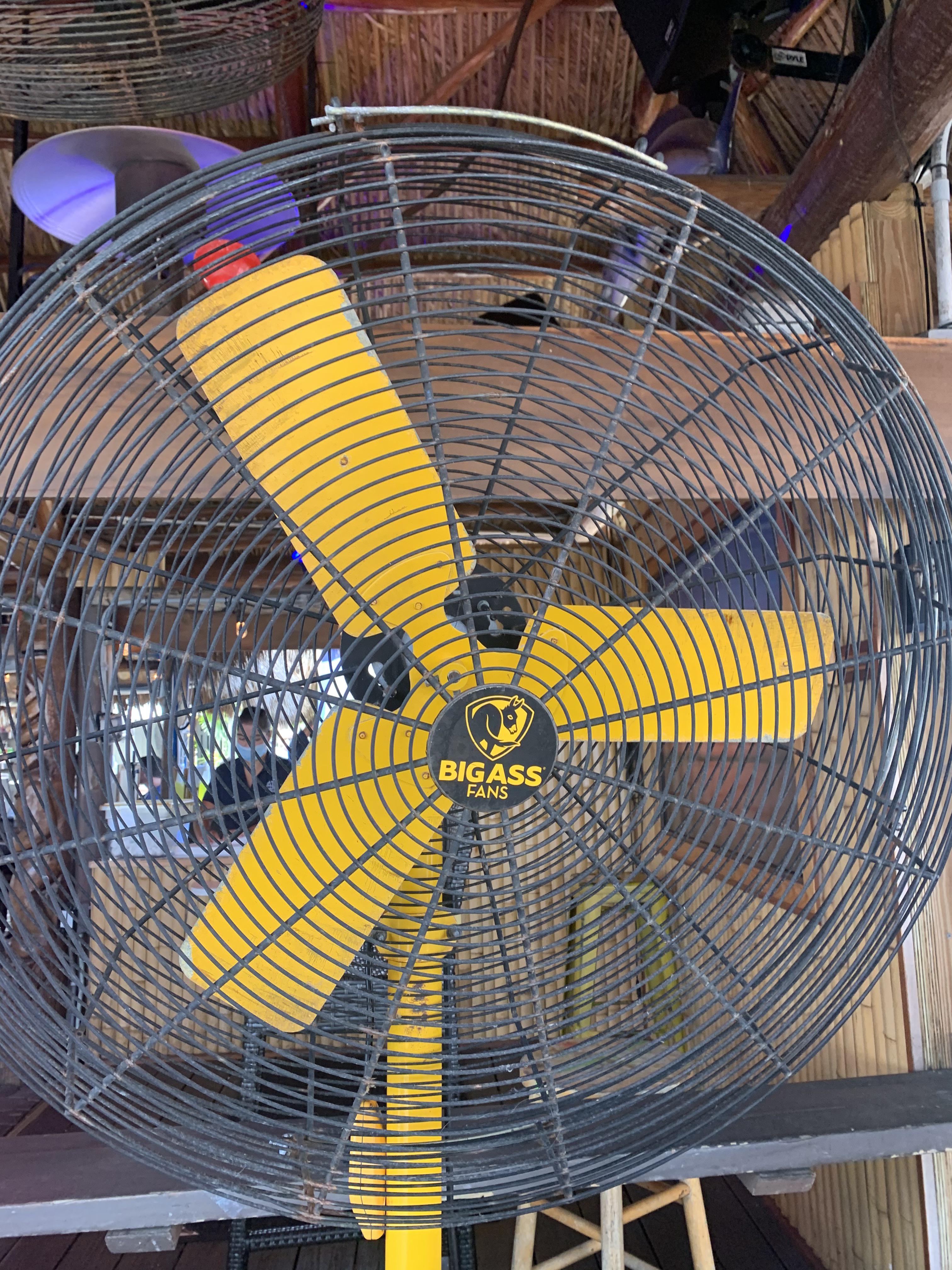 Big ass fan | Scrolller