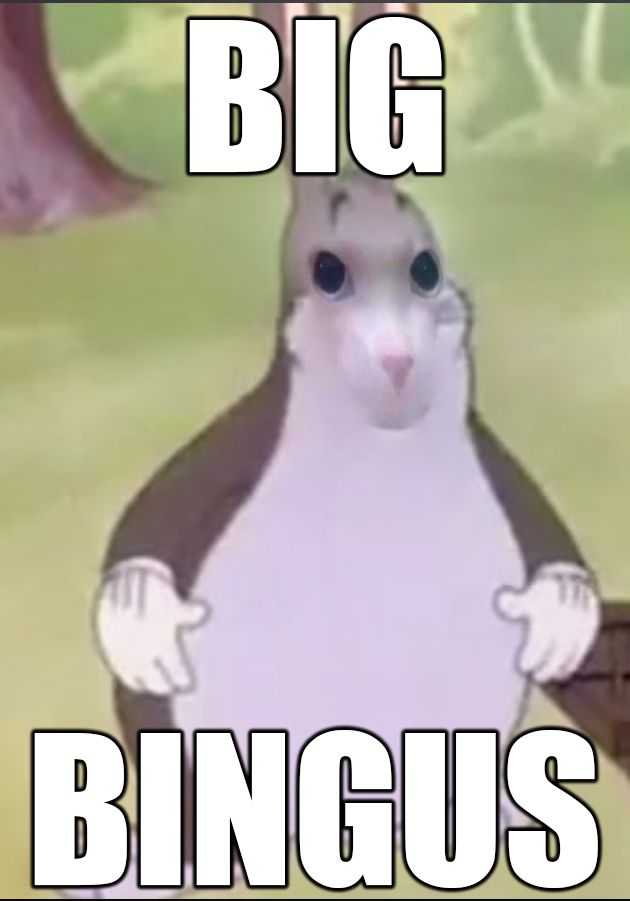 Big bingus | Scrolller