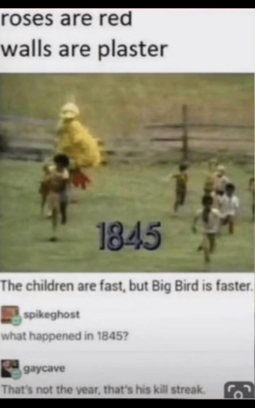 Big bird | Scrolller