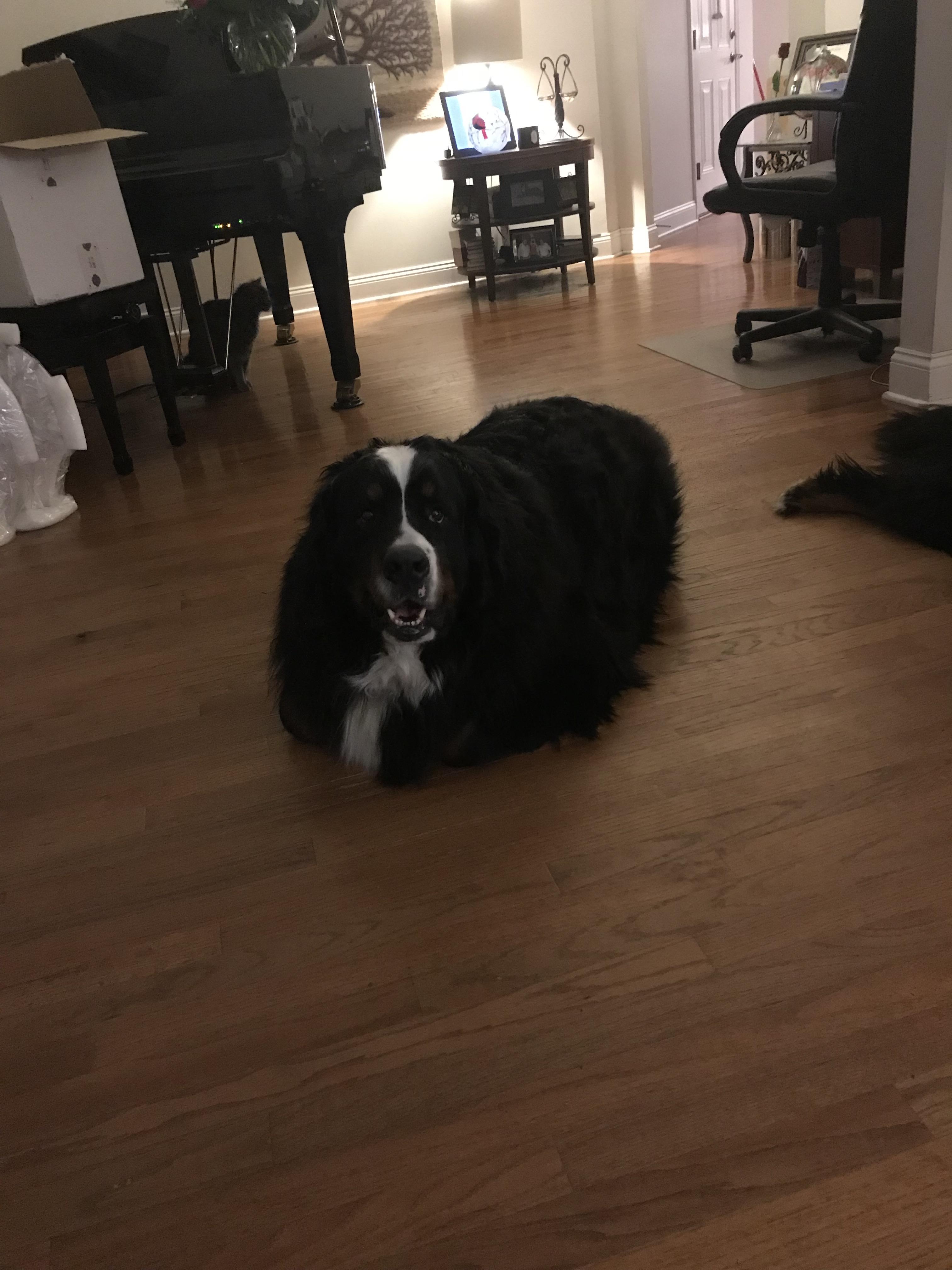 Big boye loaf | Scrolller