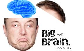 Big brain.Volume 1. | Scrolller