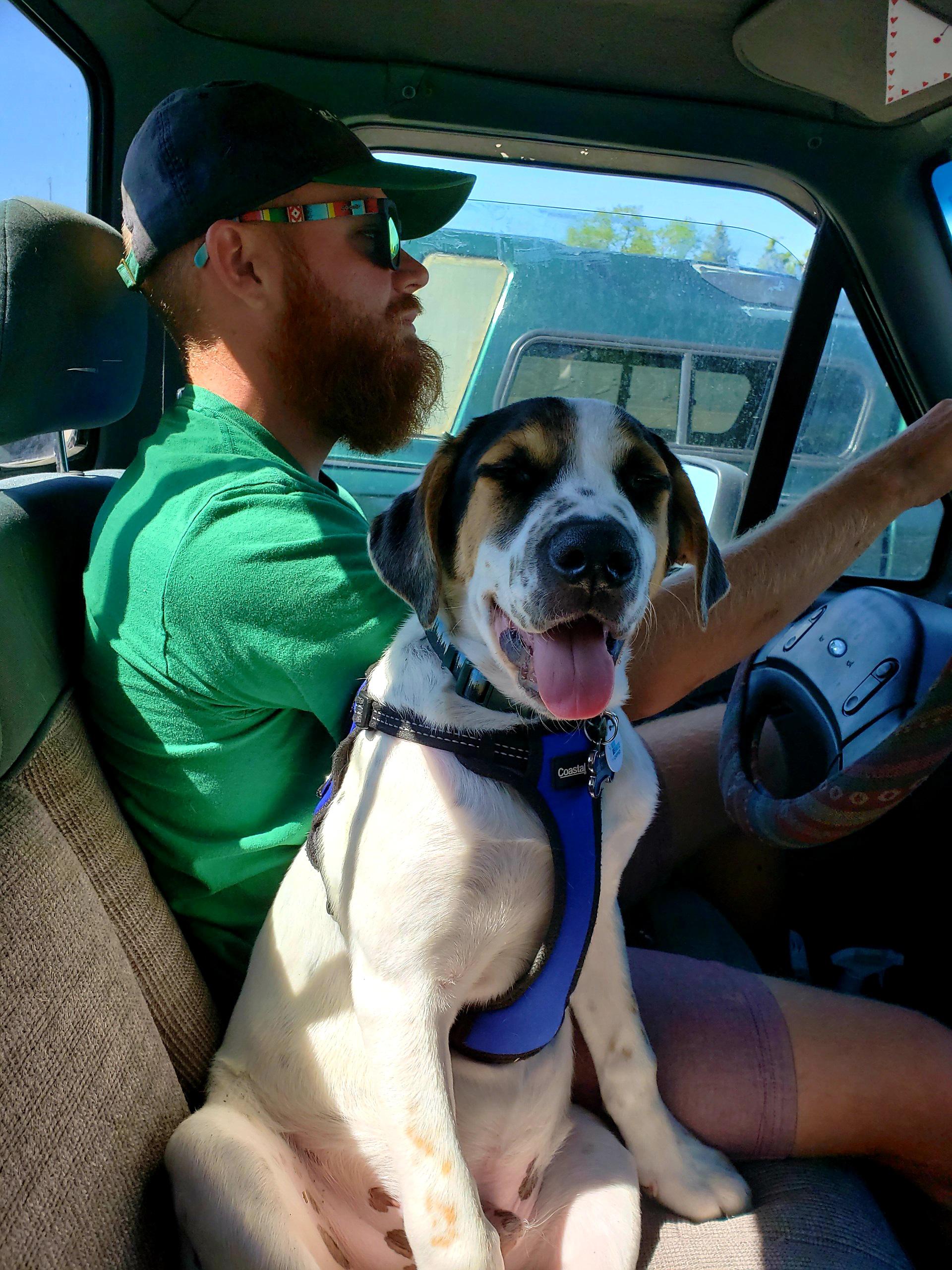 Big cheese | Scrolller