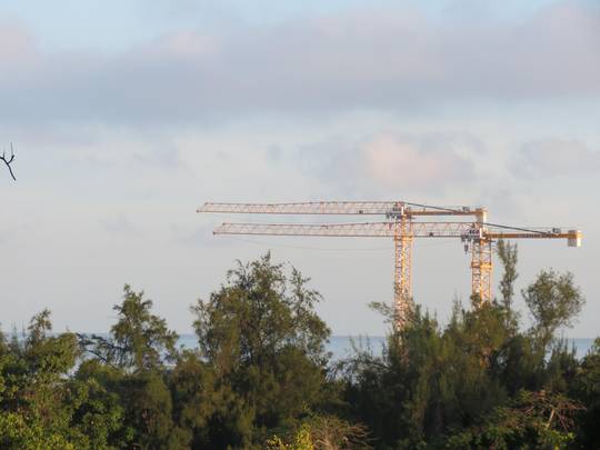 Big Cranes | Scrolller