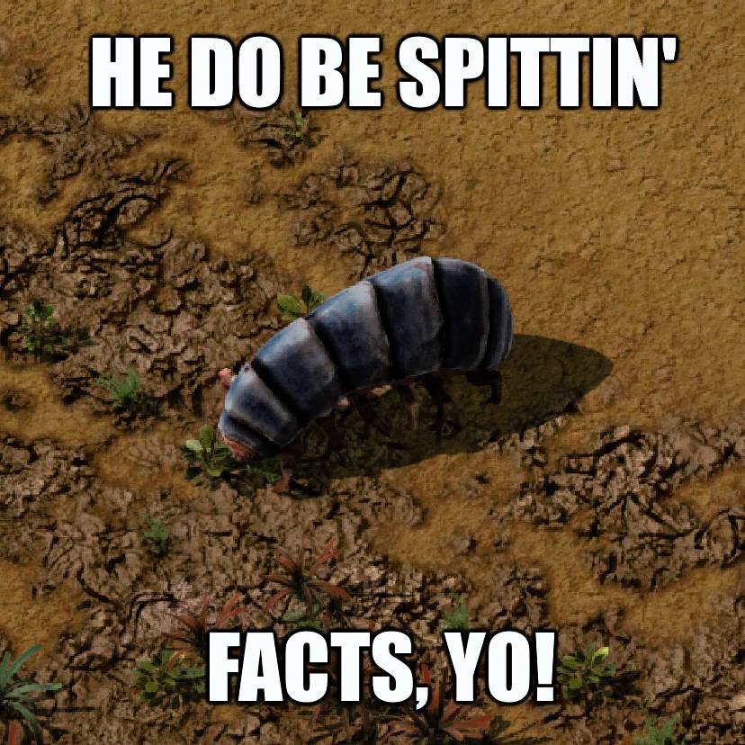 Big Facts, in fact... | Scrolller