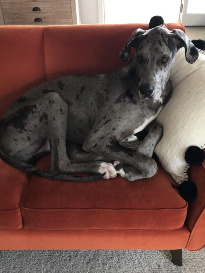 Big loaf | Scrolller