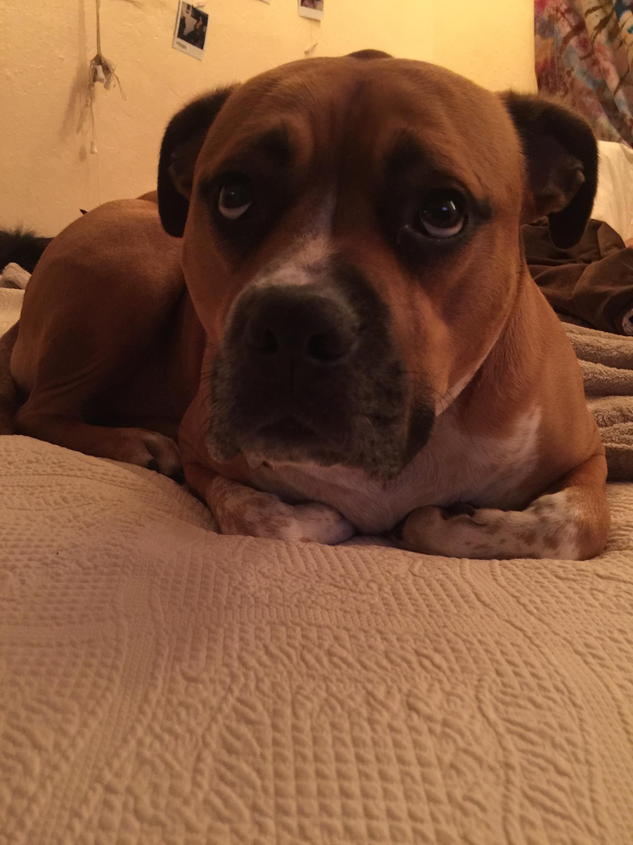 Big loaf | Scrolller